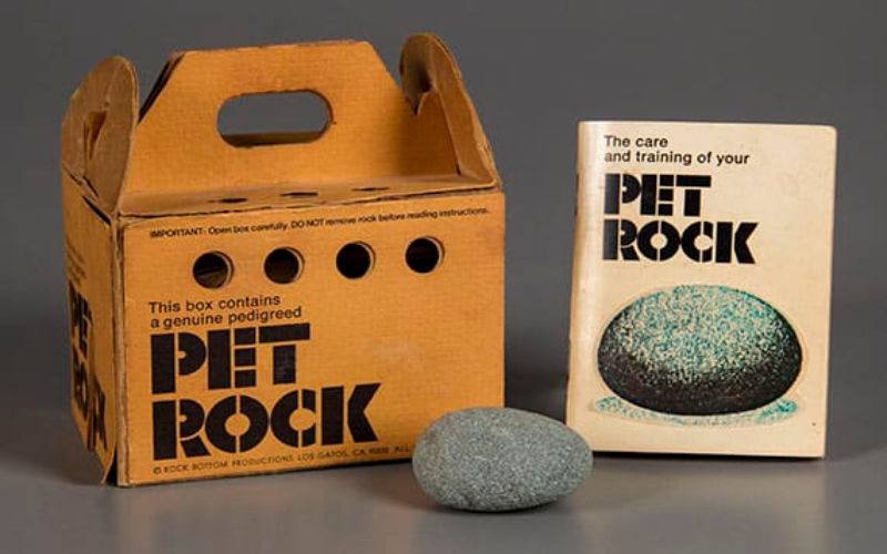 How the Pet Rock Became a Marketing Legend